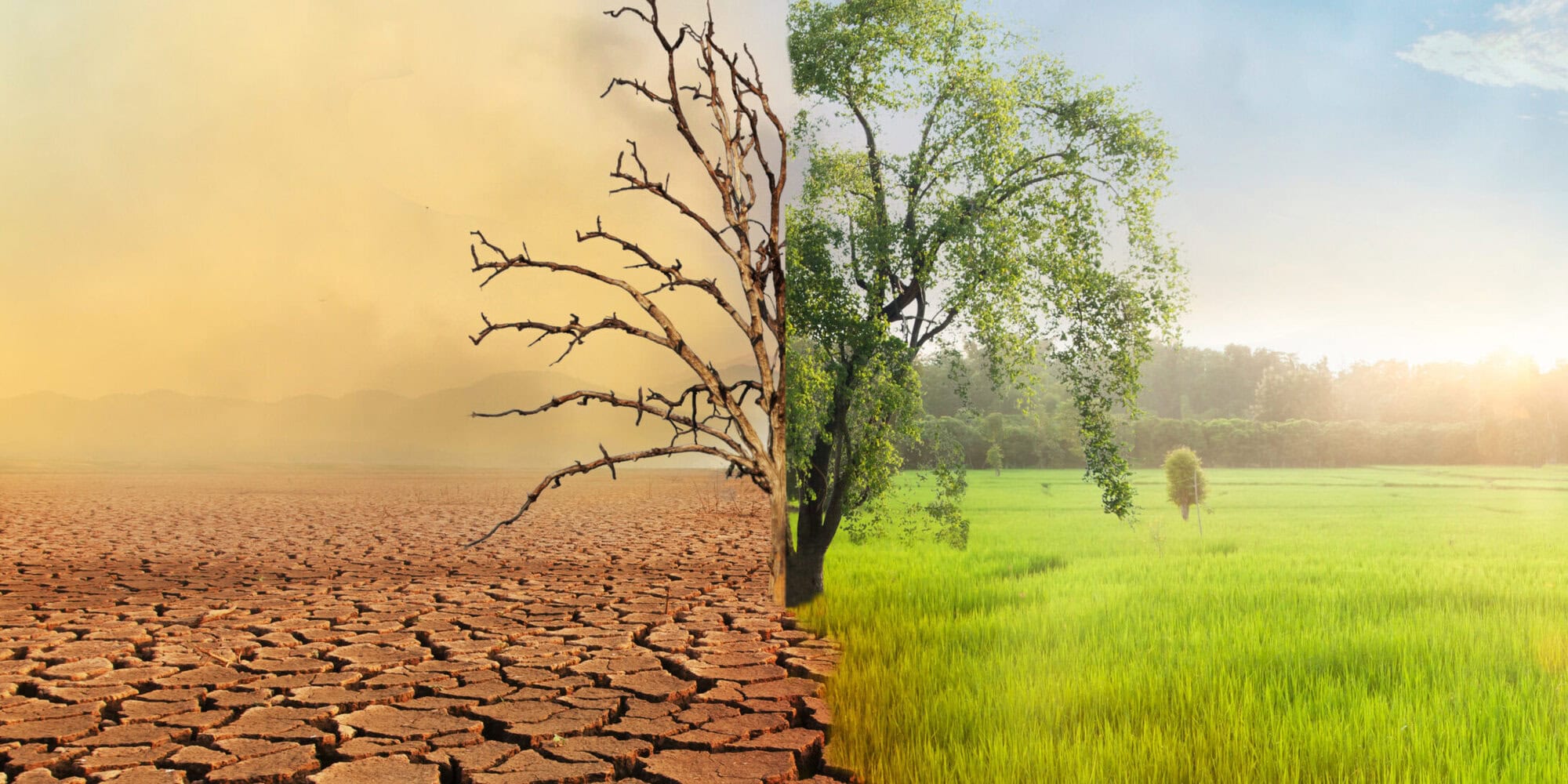 Ensuring No Over-Crediting of Carbon Emissions Due to Double Counting