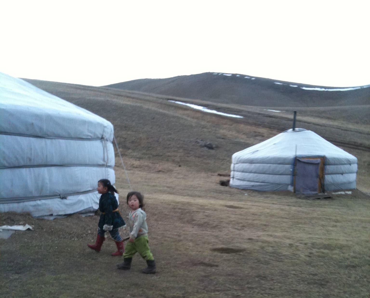 Project Additionality to Bolster Integrity of Carbon Credits and ...