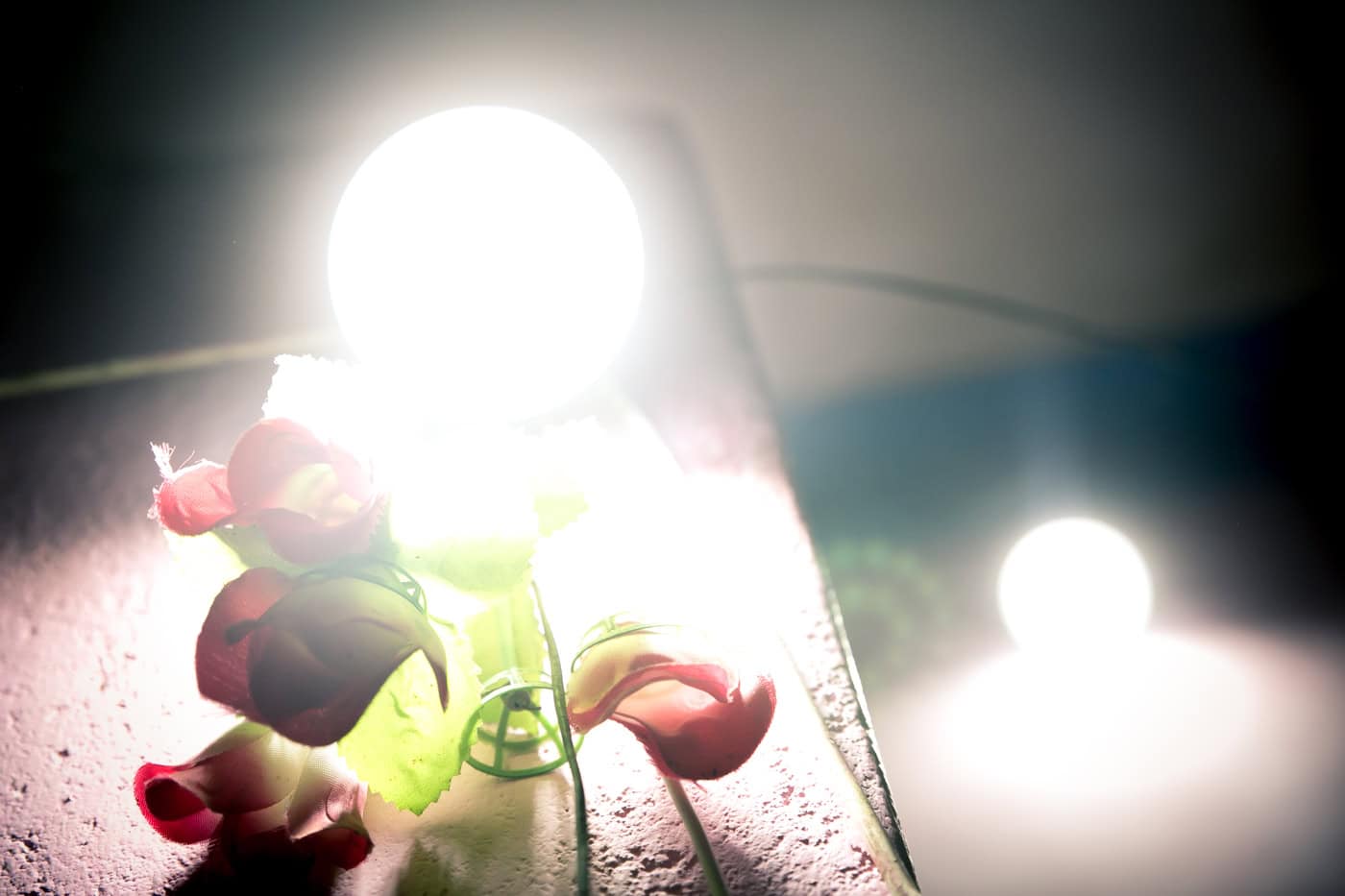 MEC India Efficient Lighting Program: All you need to know